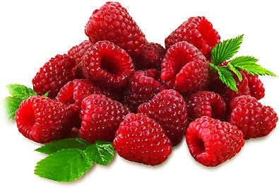 Latham Red Raspberry | Northern Raspberry – penseberryfarm.com